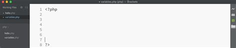 The Ultimate Beginner Php Tutorial Guide Designbump