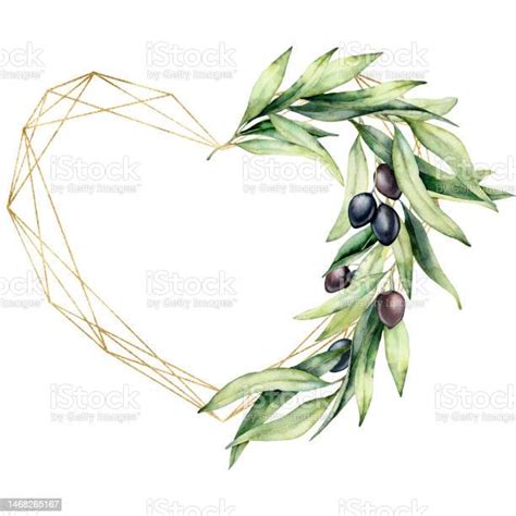 금색과 검은 올리브 가지의 수채화 심장 프레임 흰색 배경에 격리된 나뭇잎과 열매의 손으로 그린 선형 테두리 디자인 인쇄 직물 또는 배경에 대한 식물 그림 디자인에 대한 스톡