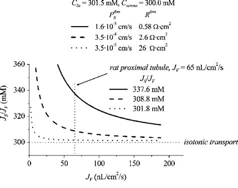 The Concentration Of The Fluid Emerging From The Lateral Intercellular Download Scientific