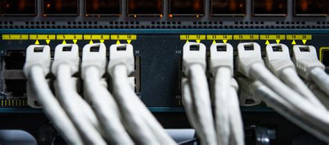 Cat6 Cabling Building Blocks For Impressive Next Gen Connectivity Macroots