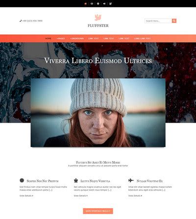 实用简洁通用html网页模板 html静态模版 跟版网