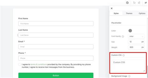 Gohighlevel Custom Css Style With Your Own Code In 2025