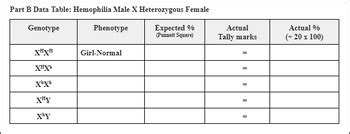 Genetics Sex Linked Activity By Mrs D S Biology Resources TPT