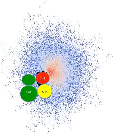 Comparison Of The Volumes Sampled By The Disordered Initial 85 Residues
