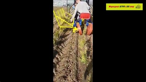 Садачка на лозя и овошки представена от Меркурий Агро и Ко Youtube