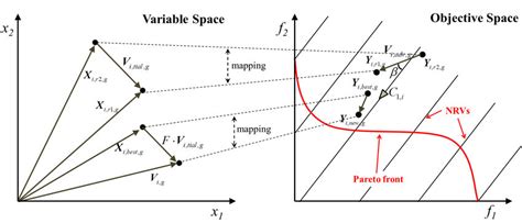 Relationship Of The Individuals In The Positive Gradient Differential