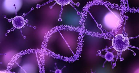 Harnessing The Power Of Genetic Testing In Hypercholesterolemia Autosomal Dominant Type B