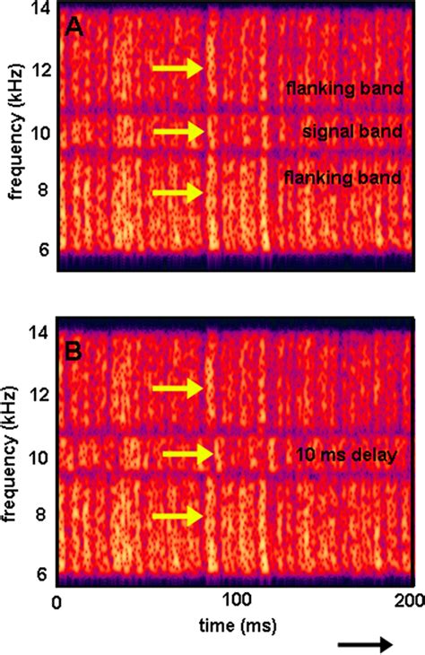 spectrograms of masking noise with a signal band and two flanking download scientific diagram