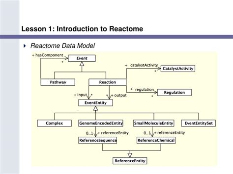 Ppt Reactome Web Services Overview Powerpoint Presentation Free