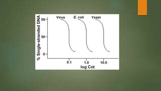 Cot Curve Dr Sonia Pdf Chemistry Science