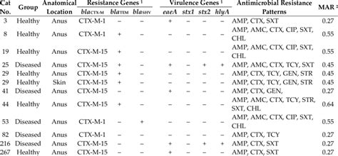 Resistance Virulence Genes And Antimicrobial Resistance Patterns Of 12 Download Scientific