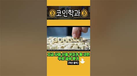 리플 전망 리플 이 영상만 보시면 끝납니다 Youtube