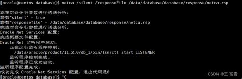 Linux安装oracle11g无图形界面下的静默安装oracle11g静默安装步骤 Csdn博客