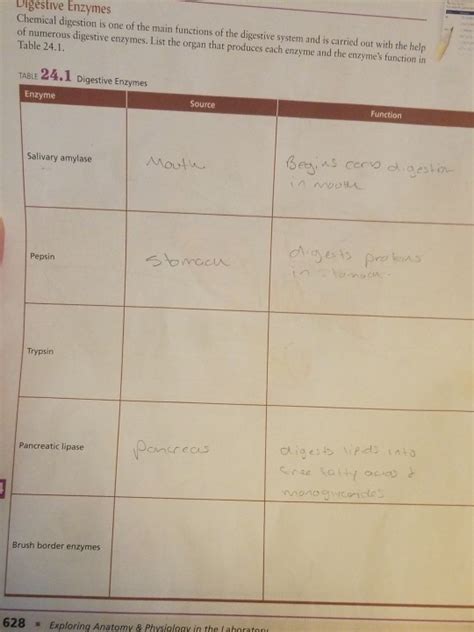 Solved Digestive Enzymes Chemical Digestion Is One Of The Chegg