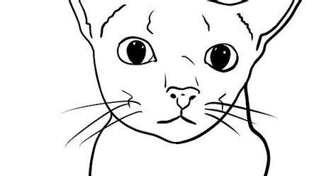 More Minimal Album On Imgur