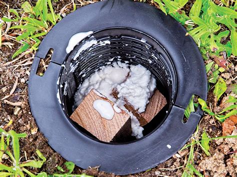 Demise™ Diy Termite Detection And Elimination Kit Termite Track And Bait