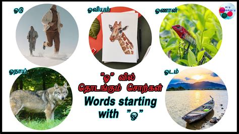 “ஓ” வரிசை சொற்கள் “ஓ” எழுத்தில் தொடங்கும் சொற்கள் Words Starts With Tamil Letter “ஓ” Tami