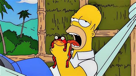 심슨 두꺼비 등을 핥는 호머 Youtube