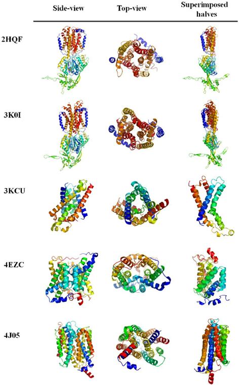 Superimposition Of Pseudo Symmetric Halves Five Symmetric Membrane