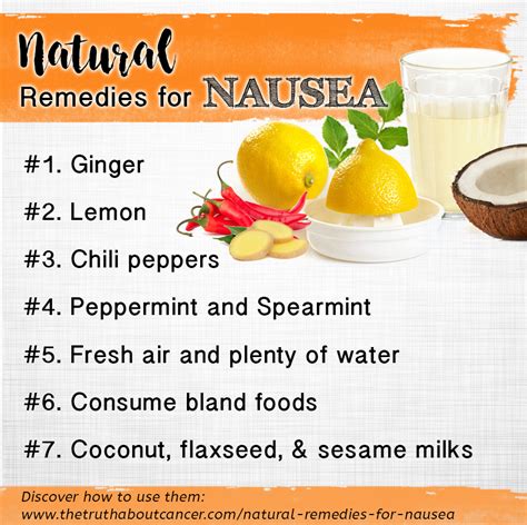 Recipes For Chemo Patients With Nausea Besto Blog