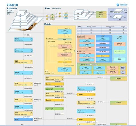Images Classification Yolo Segmentation Sam Model Freelancer