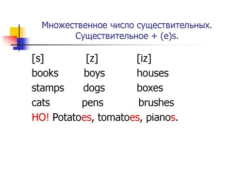 Фотографии Во Множественном Числе На Английском — Картинки фотографии