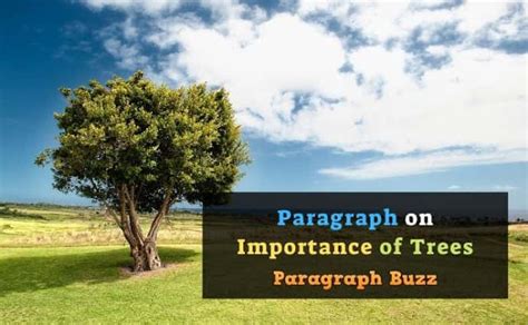 Paragraph On Importance Of Trees