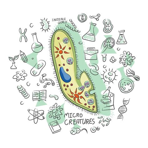 Premium Vector A Colorful Doodlestyle Illustration Of Microorganisms And Scientific Motifs On