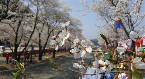 Spring Boot Starter 机制深度解析,成为技术领域的探险家! 知乎 Spring Boot Starter 机制深度解析,成为技术领域的探险家! 知乎