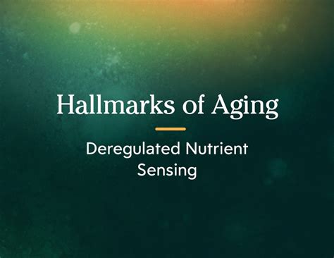 Hallmarks Of Aging Deregulated Nutrient Sensing Agelessrx