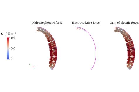 Kindjohannesrubi Simulation Numerical Simulations On The Effect Of