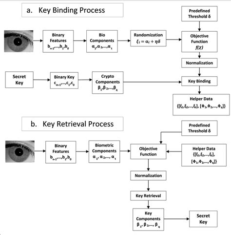 Proposed Biometric Crypto System A Key Binding Process Takes Biometric