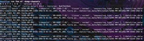 Cannot Get Dump To Print Variable Help Seqera Community