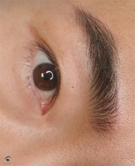 คิ้วลายเส้น แฮร์สโตรก ดูตามสภาพขน และผิวลูกค้าคะ สีออแกนิกจากรัสเซีย เยอรมันและอเมริกา เลือกสี