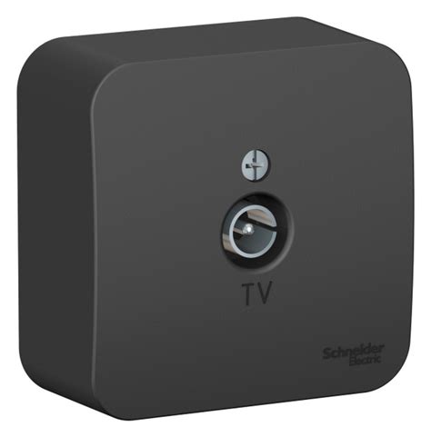 Розетка накладная Tv антрацит Systeme Electric Blanca купить по низкой цене в интернет