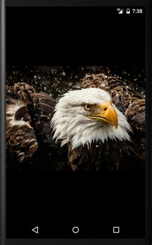 Android Image Slider Tutorial Javapapers