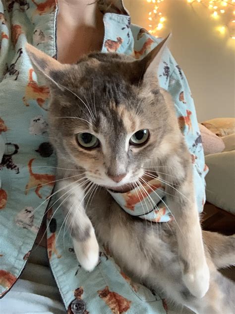 Its Gonna Be A Bumpy Ride… R Airplaneears