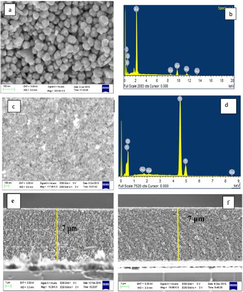 A And B Fesem Image And Eds Spectrum Of The Synthesized Aunps C And