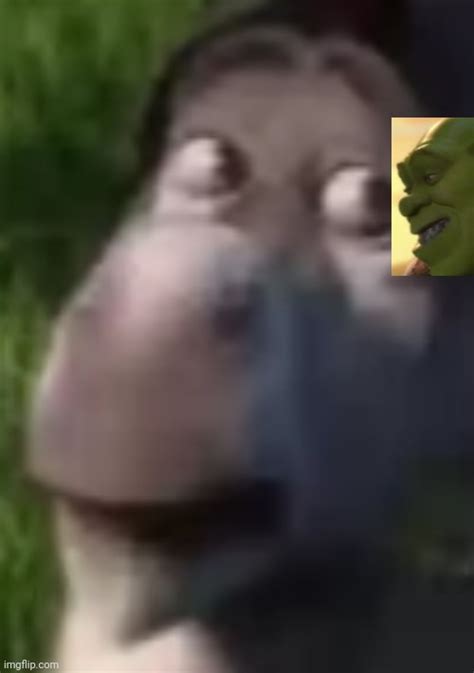 Really Really Donkey Shrek Meme Generator