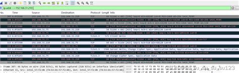 wireshark 四 wireshark解密 pre master secret wireshark csdn博客