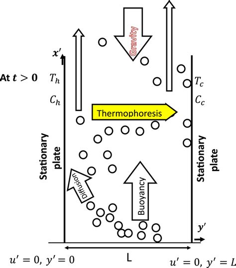 Physical Description Of Model Color Figure Can Be Viewed At Download Scientific Diagram