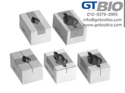 Brain Matrix 고투바이오 Gotoobio