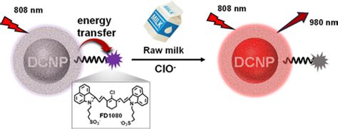 Luminescence Nanoprobe In The Near Infrared Ii Window For