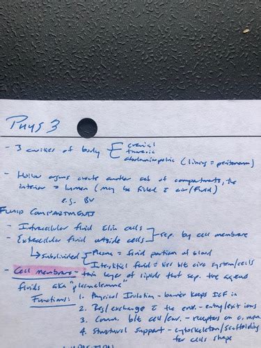 Phys 3 Flashcards Quizlet