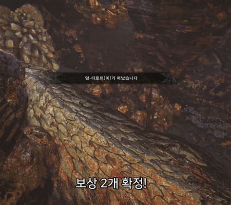 역전왕 맘타로트 흔적줍줍 공략 추적lv6 만들기 몬스터 헌터 월드