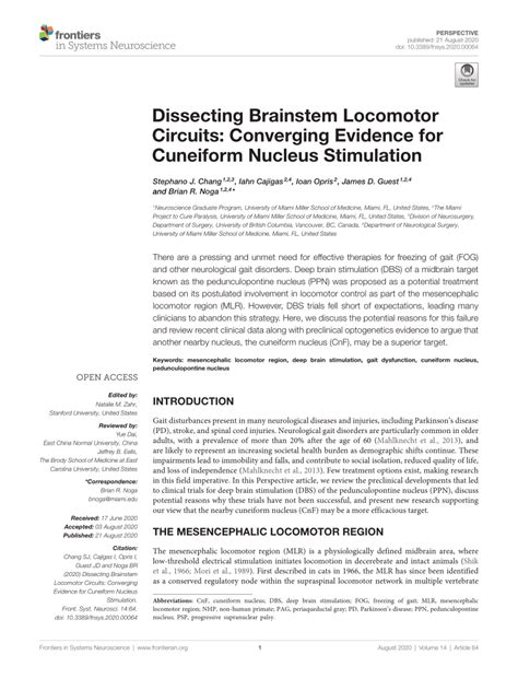 Pdf Dissecting Brainstem Locomotor Circuits Converging Evidence For Cuneiform Nucleus Stimulation