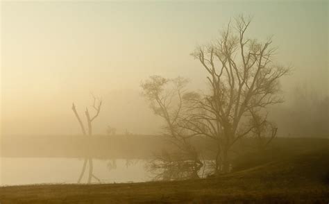 Frank Ledesma Flickr