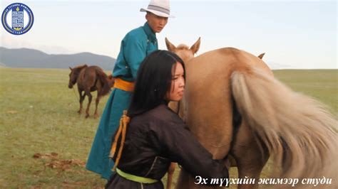 Эх түүхийн жимээр Монголын түүхийн АНХНЫ онлайн ТВ Архангай аймаг Хотонт сум