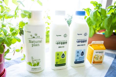 내추럴플랜 클래식 우유 저지방 프리미엄 키즈 우유도 취향따라 맛있게 먹는법 네이버 블로그