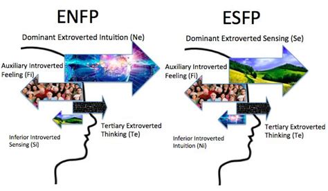Enfp Vs Esfp What S The Difference Infj Infp Infp Infp Personality Type